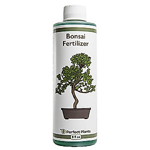 Perfect Plants Liquid Bonsai Fertilizer | 8oz. of Premium Concentrated Indoor and Outdoor Bonsai Fertilizer | Use with All Bonsai Varieties | Trees in Pots
