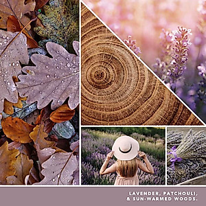 Yankee Candle Dried Lavender & Oak​ Scented, Signature 13oz Medium Jar 2-Wick Candle, Over 35 Hours of Burn Time