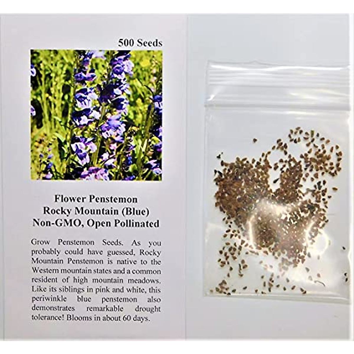 David's Garden Seeds Flower Penstemon Rocky Mountain 1124 (Blue) 200 Non-GMO, Heirloom Seeds