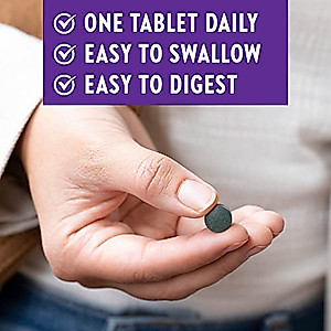 New Chapter Zinc Supplement, Fermented Zinc Complex, ONE Daily for Immune Support + Skin Health + Non-GMO Ingredients, Easy to Swallow & Digest, 60 Count (2 Month Supply)