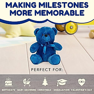 Grandma Smiley's Plush Best Friends Super Color Blue Teddy Bear Stuffed Animal, 9-inch Hypoallergenic Small for Christmas, Newborn Baby Shower, Girlfriend, Boyfriend, Graduation