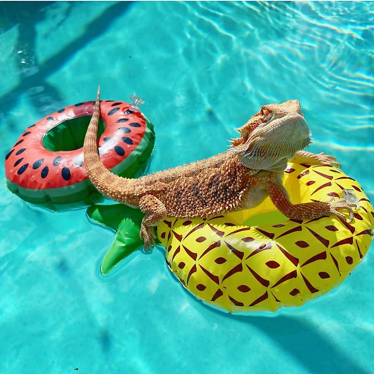 SEZDEKI 5 Pack Bearded Dragon Bathtub Toy - Small Animal Toy Inflatable Float for Hedgehog Lizard Ferret Tortoise Small Pets Accessories Photo Shoot Toy Pet Supplies (5 Pcs)