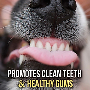 Bullysticks Organic Standard 6" Bully Sticks for Dogs - All Natural Dog Treat, These Chews are Free Range Bully Sticks, USDA Approved (10 Pack)