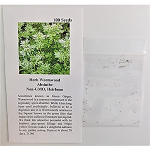 David's Garden Seeds Herb Wormwood Absinthe 4423 (Green) 100 Non-GMO, Heirloom Seeds