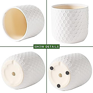 Docrin Ceramic Plant Pots Indoor: 6.5+5.3+4 Inch Planters with Drainage Holes for Home/Office - Set of 3 / White Honeycomb