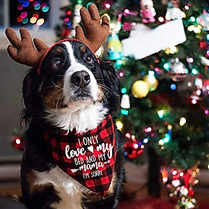 YROVWENQ Family Kitchen Funny Cute Red Plaid Pet Dog Cat Bandana Scarf, I Only Love My Bed and My Mama Puppy Dog Scarf Bibs Accessories for Pet Birthday Gift