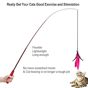 M JJYPET Retractable Cat Toys Wand,12 Packs Interactive Cat Feather Toys,9 Assorted Teaser Refills with Bell for Cat,Kitten