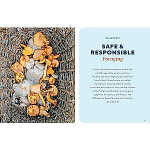 How to Forage for Mushrooms without Dying: An Absolute Beginner's Guide to Identifying 29 Wild, Edible Mushrooms