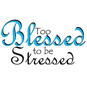 CafePress Too Blessed To Be Stressed Mug Ceramic Coffee Mug, Tea Cup 11 oz