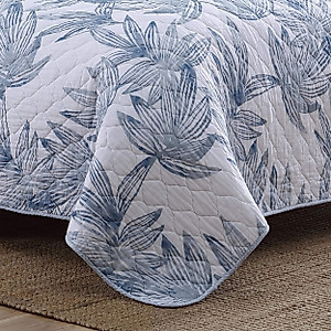 Tommy Bahama - Twin Quilt Set, Reversible Cotton Bedding with Matching Sham, Lightweight Home Decor for All Seasons (Kayo Blue, Twin)