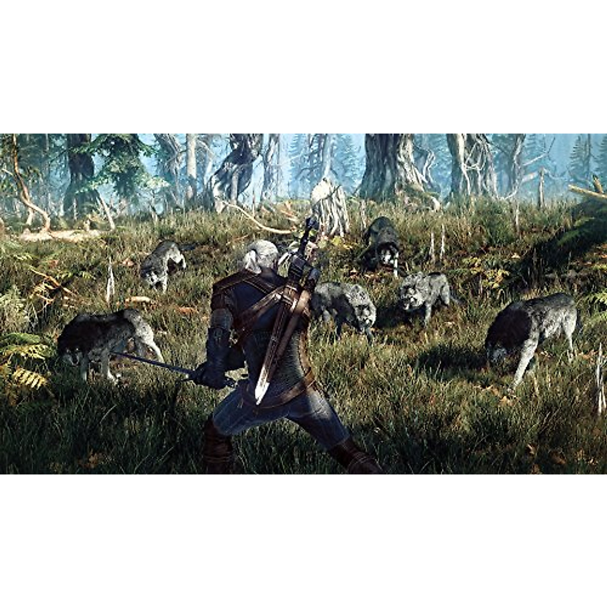 The Witcher: Wild Hunt (Comic Bundle) - PlayStation 4