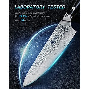 KYOKU Gin Series Chef Knife, 8" All Purpose Kitchen Knife, Japanese VG10 Damascus Stainless Steel Knife with Silver Ion Blade G10 Handle Mosaic Pin, Professional Knife for Meat Fruit Vegetables