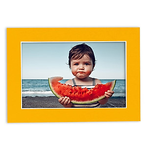12x18 Mat Bevel Cut for 11x17 Photos - Acid Free Golden Orange Precut Matboard with Backing Board and Crystal Clear, Self Seal Photo Mat Bag - for Pictures, Photos, Framing - 4-ply Thickness