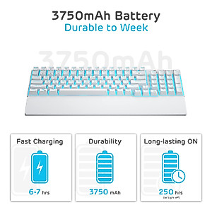 RK ROYAL KLUDGE RK96 90% Triple Mode BT5.0/2.4G/USB-C Hot Swappable Mechanical Keyboard with Magnetic Wrist Rest, 96 Keys Wireless Gaming Keyboard with Software, Blue Backlight