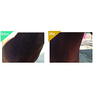 Big Mare Horse Medicated Body Wash | Clinically Proven Effective for Girth Itch, Scratches, Hives, Rain Rot, Dry, Irritated Skin & Hair Loss | Veterinary Approved & Recommended 32 oz Bottle