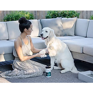 Zogics Pet Multi-Purpose Dog Grooming Wipes with Organic Oatmeal & Aloe - Thick, Hypoallergenic Wipes for Spot Cleaning and Between Baths (50 Wipes)