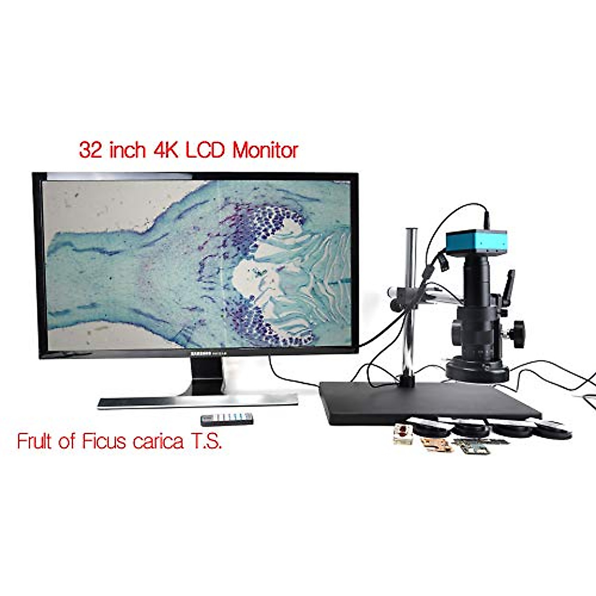 HAYEAR 4K HDMI Microscope Camera Kit for Industry Lab PCB USB Output TF Card Video Recorder +180X C-Mount Lens + Big Stereo Stand +144 LED Light