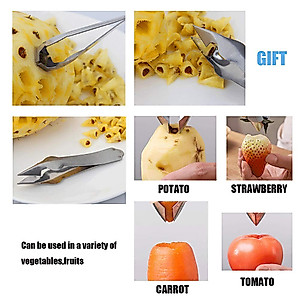 SUPER ZR Sugar Cane Peeler Knife Sugarcane Peeling Kinves Pineapple Peeling Knife Artifact Planing Knife-Stainless Steel-Natural Non-slip Wooden Handle