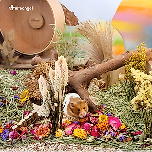 Niteangel Natural & Soft Hamster Bedding Mate Small Animal Habitat Decor for Syrian Dwarf Hamsters Gerbils Mice Degus Bunny or Other Small-Sized Pet (Flowers Scent Path)