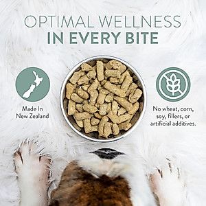 The New Zealand Natural Pet Food Co. WOOF Freeze Dried Dog Food - Chicken Recipe, High Protein Dog Treats & Snacks, Dog Food Toppers & Meals, 9.9 oz