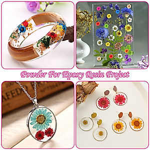 900 PCS Small Dried Flowers for Crafts Resin - Tiny Dried Flowers for Nails, Natural Real Dried Pressed Flowers Bulk for DIY Jewelry Earrings Epoxy Molds, Candles Making, Soap Making