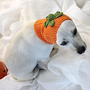 cyeollo Dog Pumpkin Costume Funny Dog Snood Knitted No Flap Ear Wrap Hood for Pets Small Dog Halloween Costumes