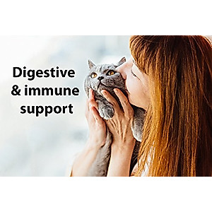 DrFormulas Nexabiotic Probiotics for Cats Powder | Treats Diarrhea for Pets with Saccharomyces Boulardii Lactobacillus Acidophilus, Best Probiotics Supplement for Digestive Health 30 Capsule