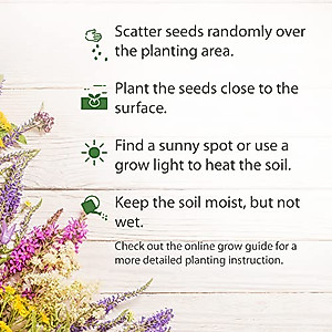 90,000 Wildflower Seeds - 3oz Pure Wild Flower Seed Pack - 18 Variety - Perennial Flower Seeds for Attracting Birds & Butterflies - Open Pollinated, Flower Garden Seeds for Planting Outdoors