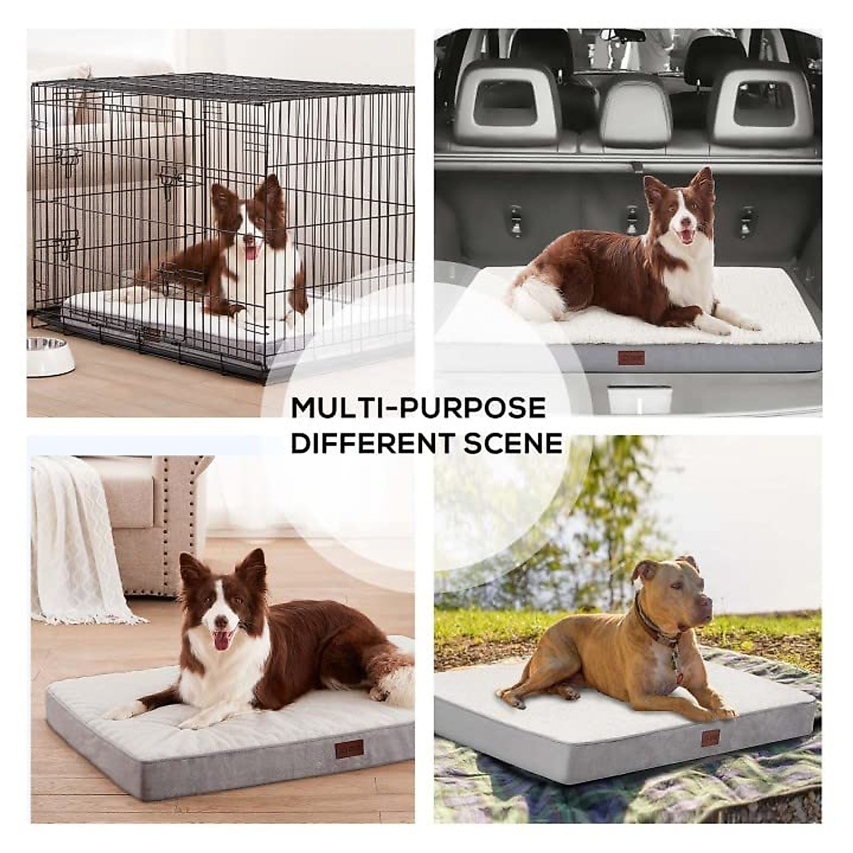 WESTERN HOME Large Orthopedic Dog Beds for Large and Extra Large Dogs/Cats Egg-Crate Foam Pet Bed Mat with Soft Removable Cover, Waterproof Lining, Foam Dog Crate Bed