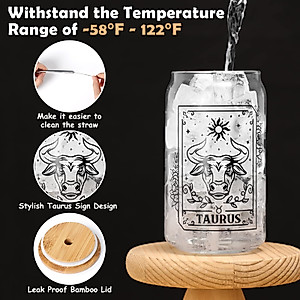 Nefelibata Taurus Gift Set,Beer Can Glass with Lid Metal Straw and Cleaning Brush,Aquarius Zodiac Birthday Gifts for Women and Men,16 oz Reusable Drinking Glass Cup for Coffee Tea Wine Soda Juice