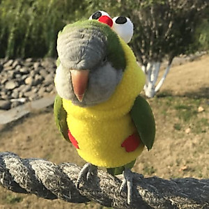 Bird Costume Bird Diaper Flight Suit Bird Chicken Shape Bird Clothes Cosplay Photo Prop for Parrots Lovebird Parakeet Cockatiel Small Animals Apparel (Cockatiel)