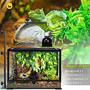 NEPTONION 43 Gallon Professional Glass Terrarium 24"x18"x24" Durable Reptile Habitat Tank with Heat Resistant Aluminum Alloy Frame, Dual Front Swinging Doors for no Jam by Sand and Other Debris