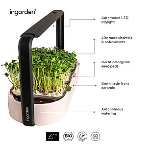 ingarden Microgreens Growing Kit - Organic Superfood Sprouting Seed Pads (3) | Auto 4-Stage LED Grow Lights & Hydroponic Watering System | Chic Steel Frame & Ceramic Bowl, Plastic-Free [Rose]