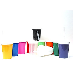 Talisman, Small Plastic Drinking Glasses, Lids and Straws, 12 Ounce, 12 Pack, Mix Colors