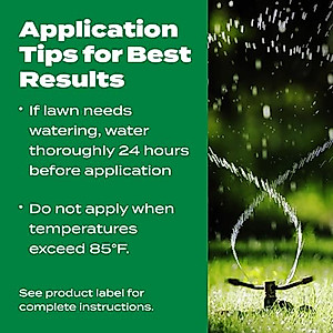 Scotts Liquid Turf Builder Lawn Food, 32 fl. oz.