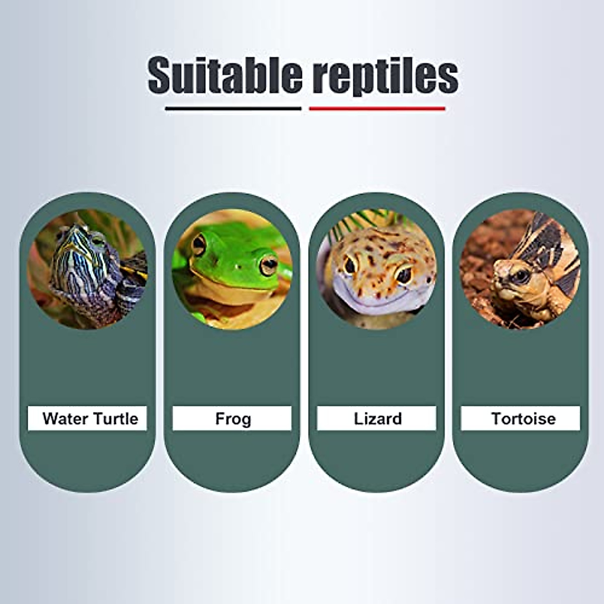 WEAVERBIRD Turtle Basking Platform, Turtle Tank Platform Aquarium Animal Sink Wharf, Double Decker Reptile Habitat, Climbing Shelf Turtle Tank Dock Floating Decor, Floating Turtle Dock, White
