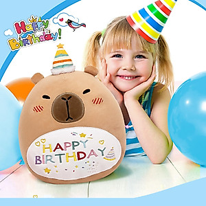 TITQWOP Happy Birthday Capybara Plush Pillow 14" Capybara Stuffed Animals Capybara Plush Birthday Gift for Kids Boys Girls