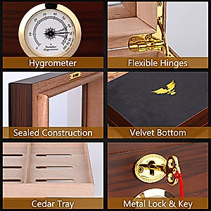 Bald Eagle Cedar Cigar Humidors with Hygrometer, Handcrafted Cigar Box with Humidifier, Glass Top Humidor Box with Cigar Accessories, Luxury Cigar Case Sapele Walnut Finish 35-60 Cigars