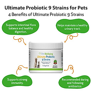 Pet Wellbeing - Ultimate Probiotic 9 Strains for Cats and Dogs - Natural Support for Digestion and Urinary Tract Health 160 grams.