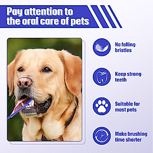 100 Pieces Dog Toothbrush Kit Set Double-Headed Toothbrush Long Handle Tooth Brush Soft Bristle Pet Tooth Brush for Small Medium Large Pet Cat Teeth Cleaning Set