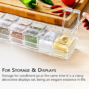 V·RESOURCING Clear Seasoning Box, 5 Pieces Clear Seasoning Storage Container for Spice Salt Sugar Cruet,Condiment Jars with Spoons