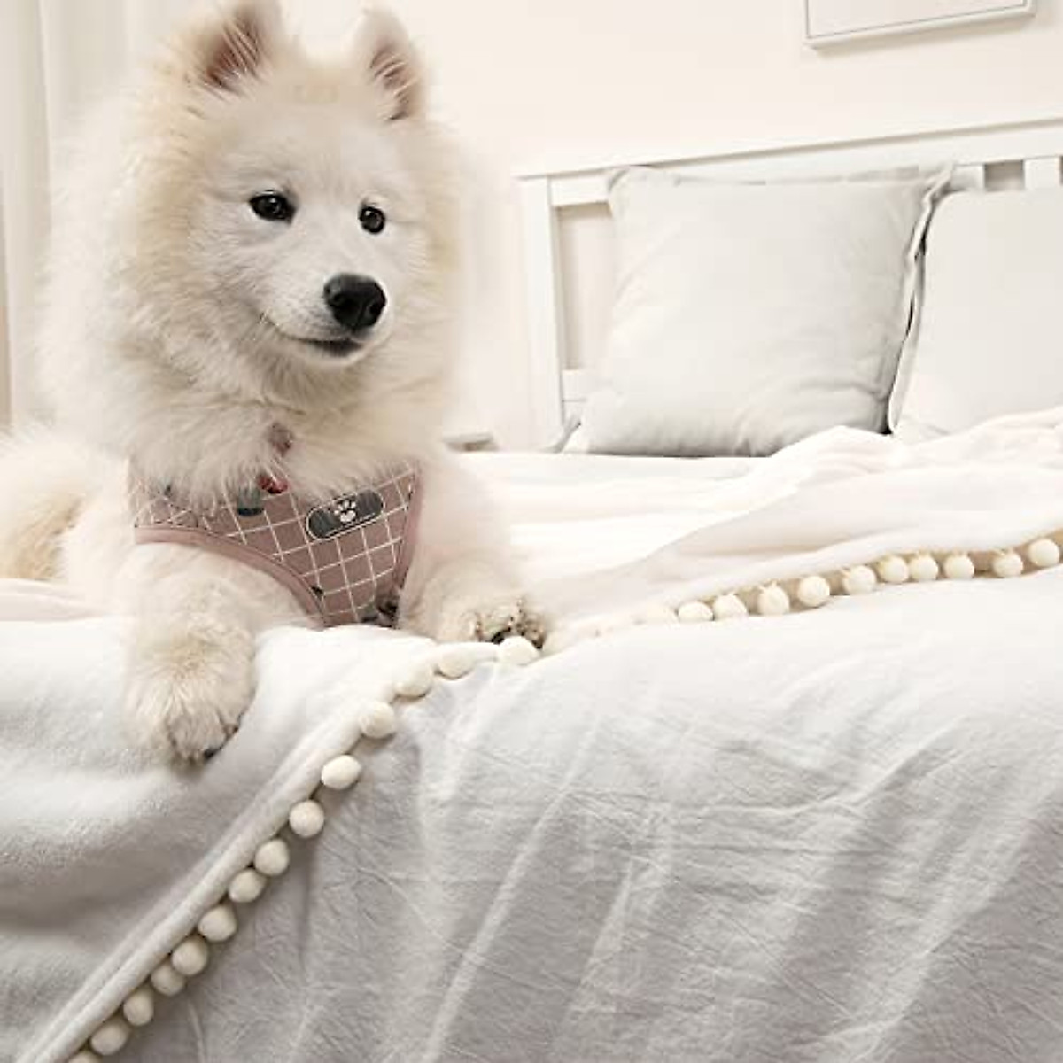 MIULEE Fleece Baby Blanket with Pompom Tassel for Boys, Girls, Kids, Infant, Newborn Soft Flannel Cozy Throw Blanket Fuzzy Plush Warm Boho Decor for Crib Stroller Nap 30"x40" Cream White