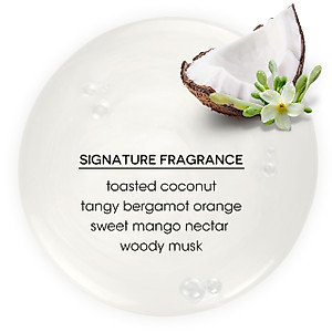 Bain de Terre Coconut Papaya Ultra Hydrating Shampoo, Moisture Quench for Dry, Damaged Hair, with Argan & Monoi Oils, Paraben-Free, Color-Safe, Vegan,13.5 Fl Oz