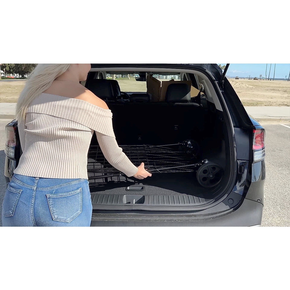 Mount Plus SF-118 Grocery Utility Shopping Cart with Dual Swivel Wheels | Easily Collapsible and Portable to Save Space and Heavy Duty | Rolls Smoothly on Streets, Store, Sidewalks and Indoors