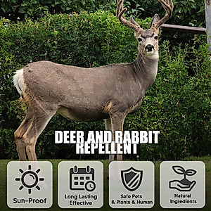 FANDISES Deer Repellent, Rabbit Repellent Outdoor, Deer and Rabbit Repellent for Plants, Powerful Rabbit Repellent for Garden, Deer Deterrent for Garden, Deer Away, Rabbit Deterrent for Yard - 8P