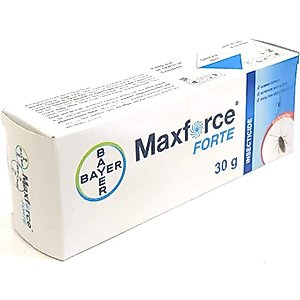 seasol Price Bayer Maxforce Forte - 30g (Pack of 3)