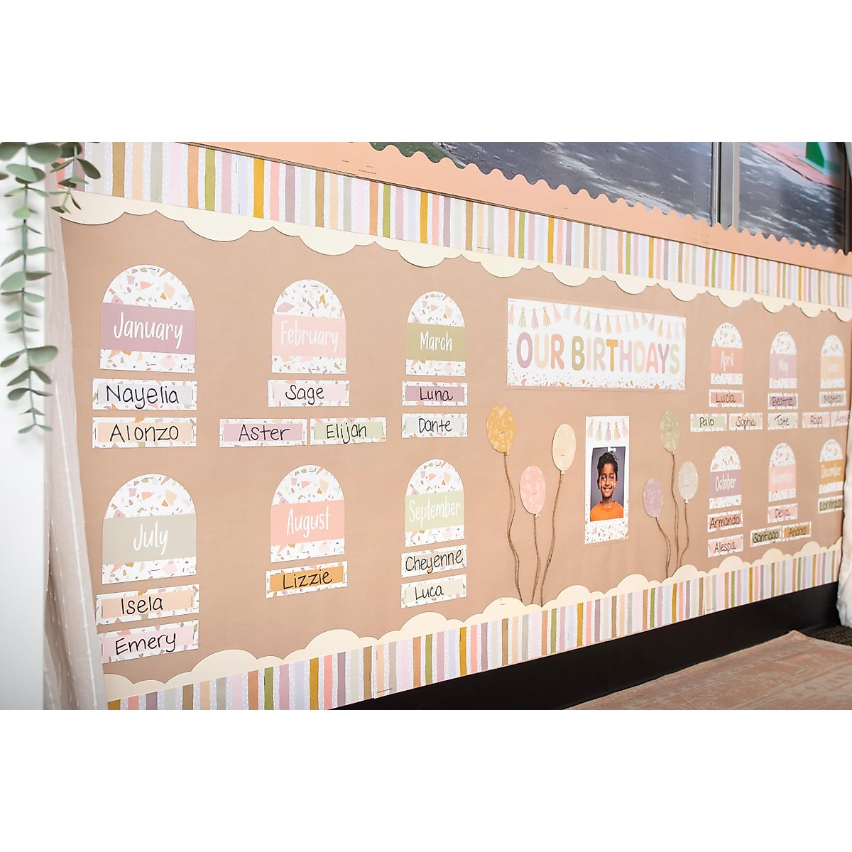Teacher Created Resources Creme Brulee Fancy Scallops Border Trim