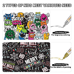 Betem Oil Based Paint Markers, Dual Tip Paint Pens(0.7mm & 3mm), Gold Silver Permanent Paint Marker Pen, Waterproof, Quick Dry, for Fabric, Rock Painting, Wood, Plastic, Metal, Canvas (2Gold2Silver)