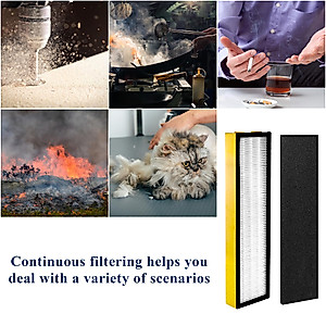 4 Pack HEPA Filter B FLT4825 Replacement for Air Purifier Filter, Fit AC4825 AC4300 AC4800 AC4900 AC4850, Premium HEPA Filter and 8 Activated Carbon Pre-Filter by TOMOON