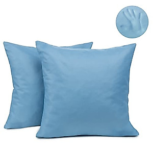 Milliard Pack of 2 Decorative Outdoor Waterproof Couch Pillows with Shredded Memory Foam Throw Pillow with Washable Cover- 18x18 (Blue)
